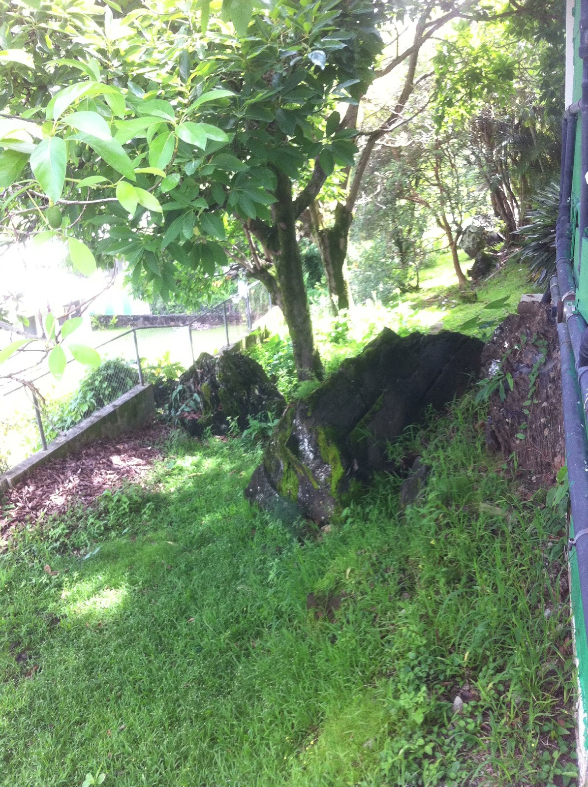 Pohukaina Cave: Nuuanu revisited